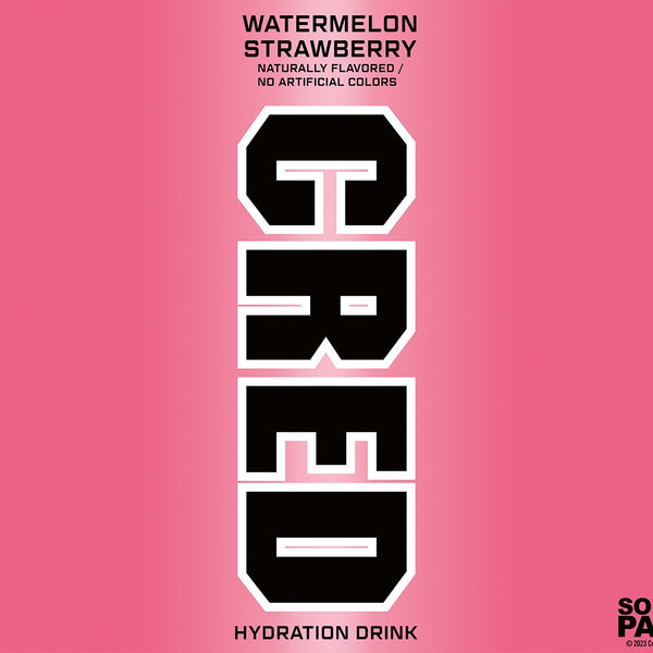 South Park Cred Watermelon Strawberry Tumbler South Park Shop
